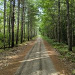 Deering | Discover Monadnock