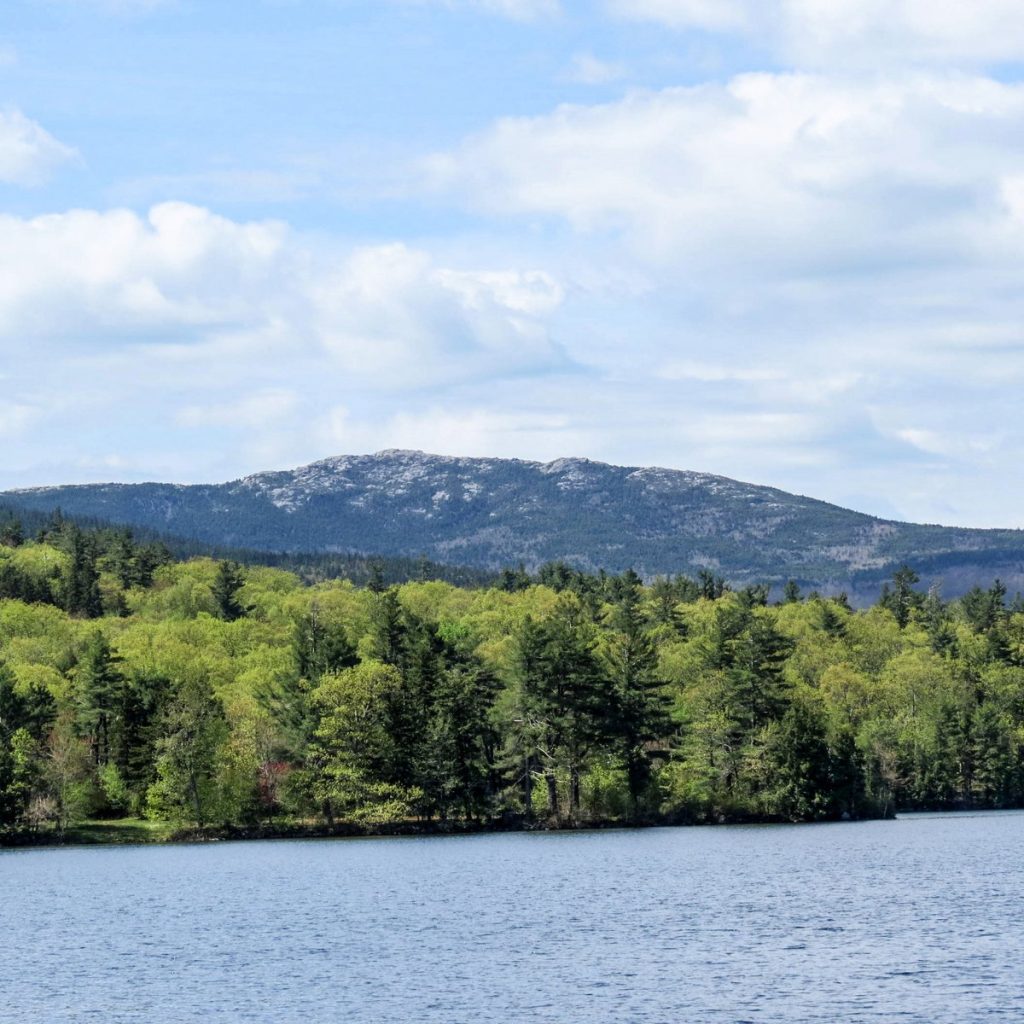 Chesterfield Blog Posts | Discover Monadnock